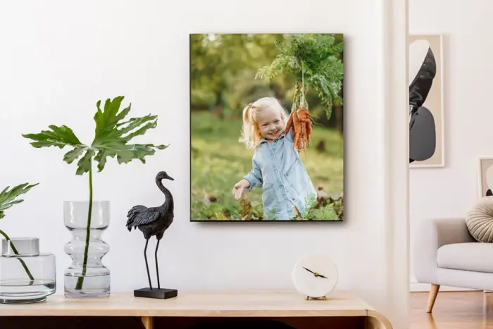Custom Shadow Prints From Your Photos